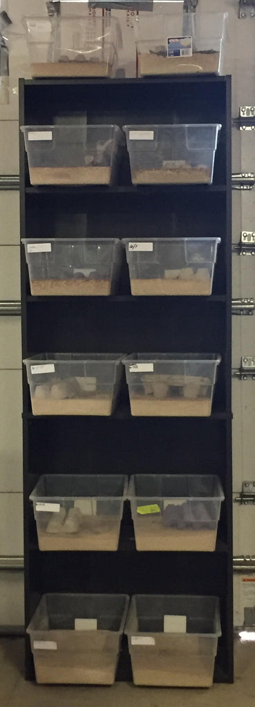 Serious Mealworm Farm starter kit - 5,000 mealworms - 500 beetles – PNW ...